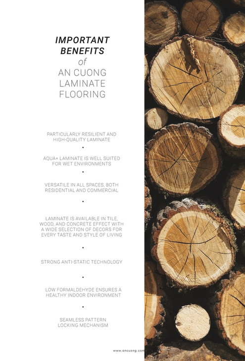 AnCuong - LAMINATE FLOORING - Trang 6–7