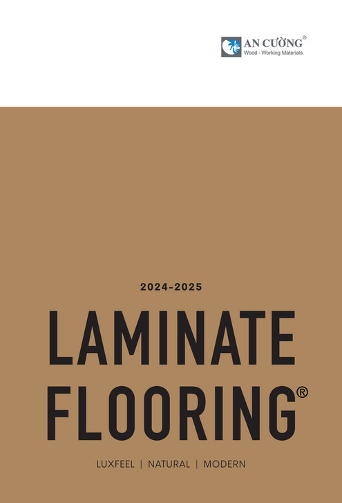 VENEER - AN CUONG - Trang 32-33