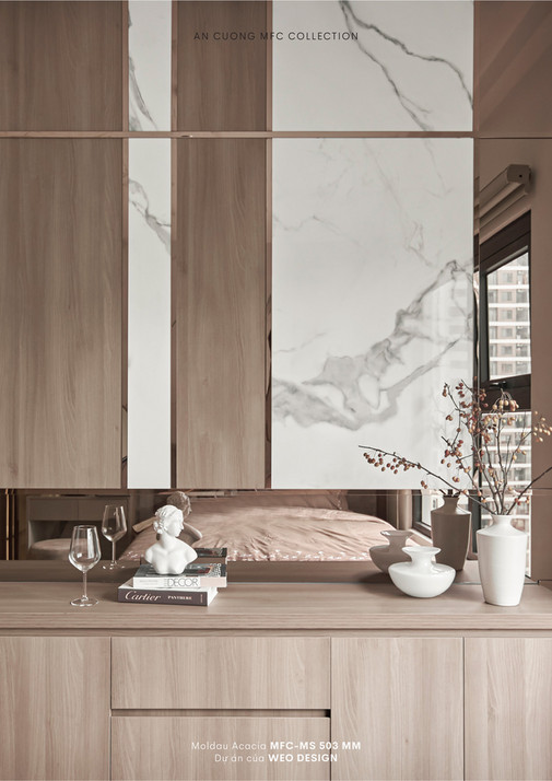 INNOVATIVE MFC & MDF MELAMINE PANELS - Trang 38-39