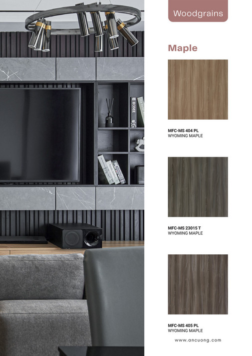 INNOVATIVE MFC & MDF MELAMINE PANELS - Trang 32-33