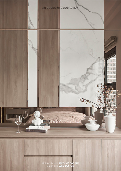 INNOVATIVE MFC & MDF MELAMINE PANELS - Trang 38-39