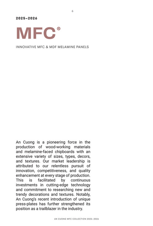 INNOVATIVE MFC & MDF MELAMINE PANELS - Trang 6–7