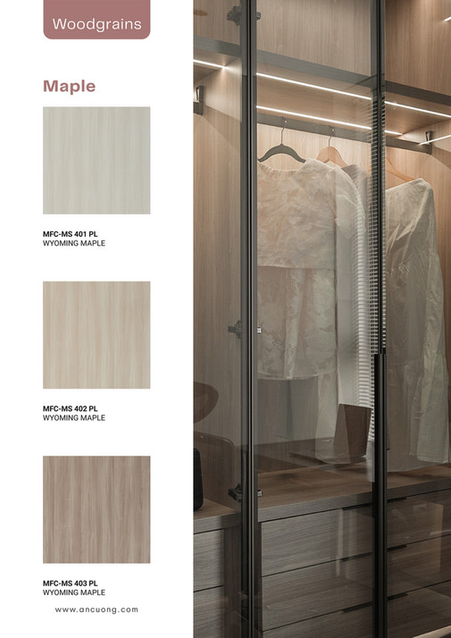 INNOVATIVE MFC & MDF MELAMINE PANELS - Trang 30-31