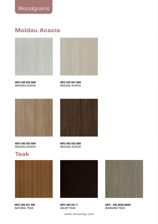 INNOVATIVE MFC & MDF MELAMINE PANELS - Trang 38-39