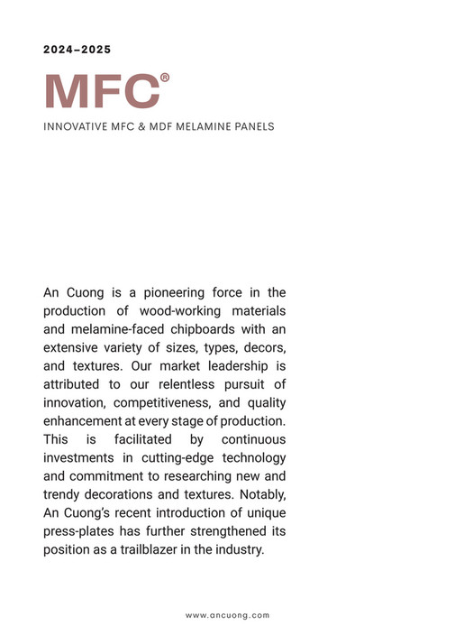 INNOVATIVE MFC & MDF MELAMINE PANELS - Trang 6-7