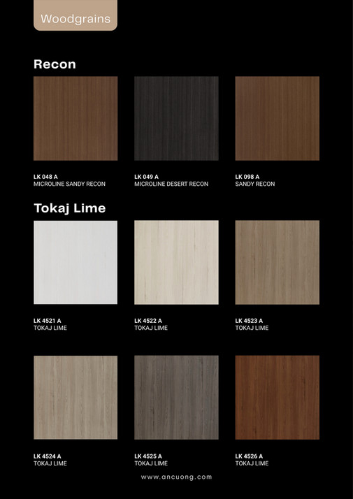 AnCuong - LAMINATE KINGDOM - HIGH PRESSURE LAMINATE - Trang 40-41