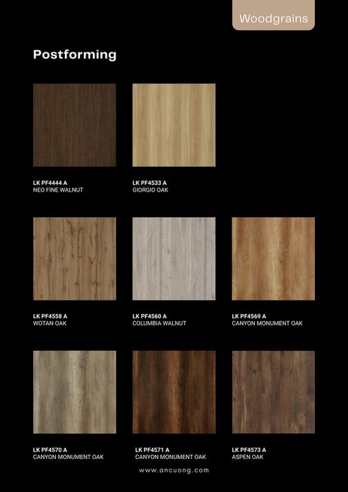 AnCuong - LAMINATE KINGDOM - HIGH PRESSURE LAMINATE - Trang 48–49