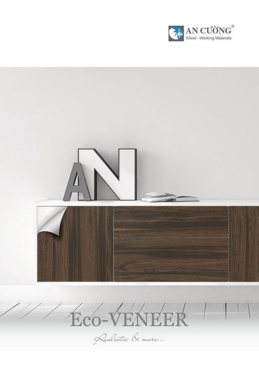 VENEER - AN CUONG - Trang 1