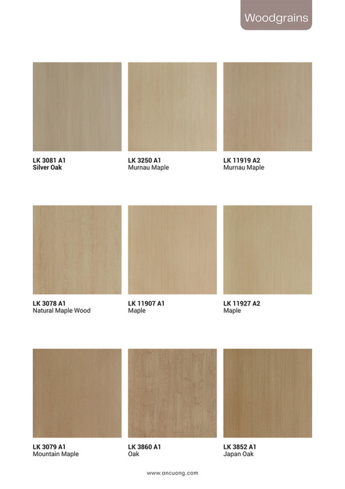 AnCuong - KINGDOM BASIC - Trang 14-15