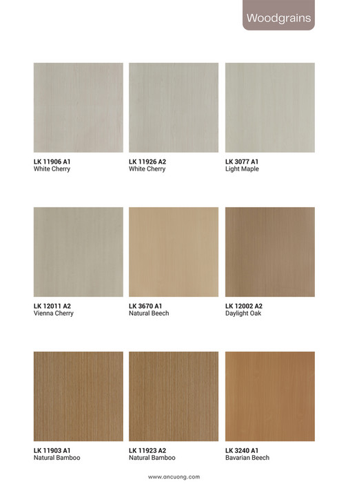 AnCuong - KINGDOM BASIC - Trang 10–11