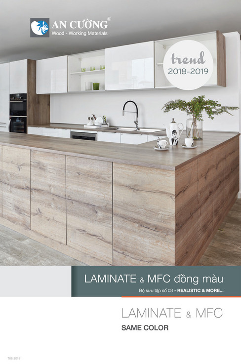 LAMINATE & MFC SAME COLOR REALISTIC & MORE (BST số 03) - Trang 1–